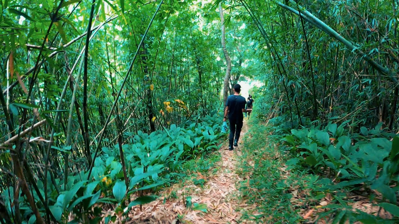 Explore Mizoram : In MizoRam | With Mizo-Friends| Mizo-Trek in BAMBOO ...