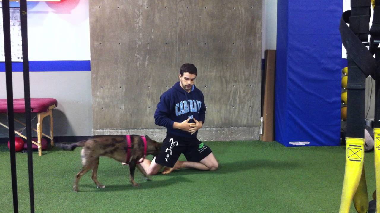 Movement Flow Sequence #1 - YouTube