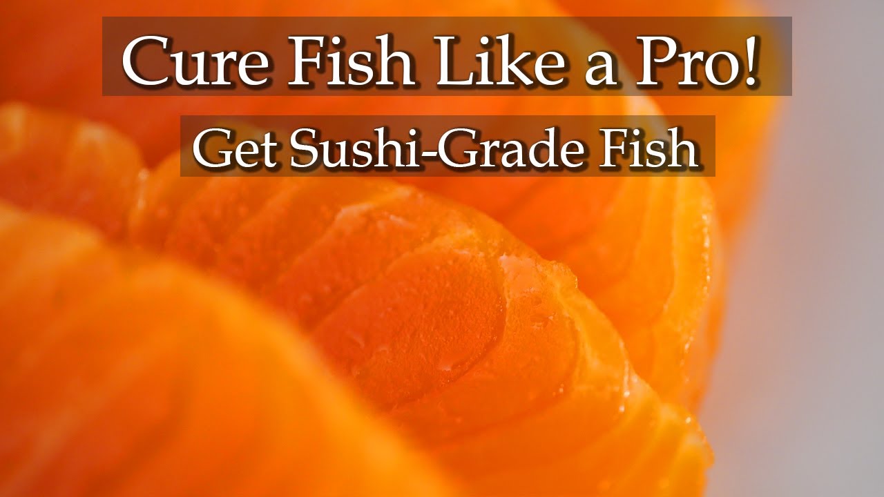 How to Cure Fish at Home: Easy Citrus & Coriander Recipe! - YouTube