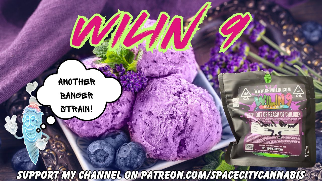 WILIN 9 STRAIN REVIEW: Devil Driver (🍇🍦🔥) Use Code “SPACECITY” - YouTube