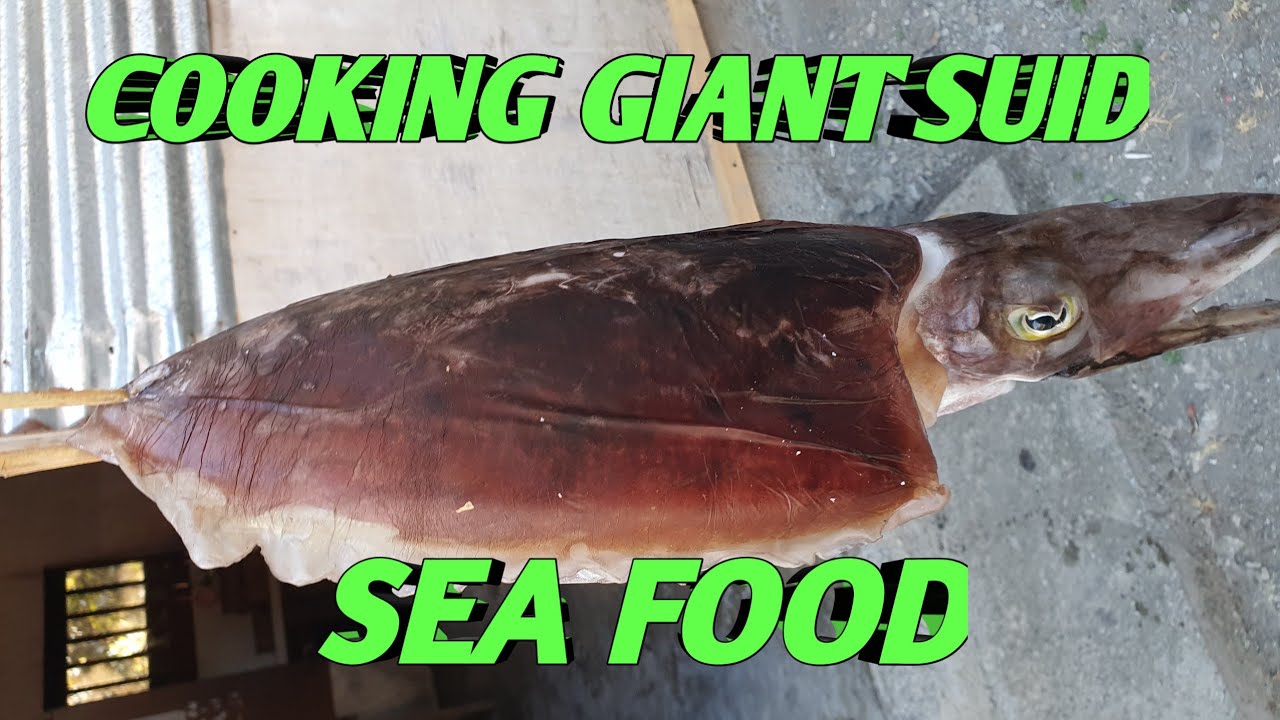 #2022 #cooking #koreanfood catching and COOKING GIANT SQUID - YouTube