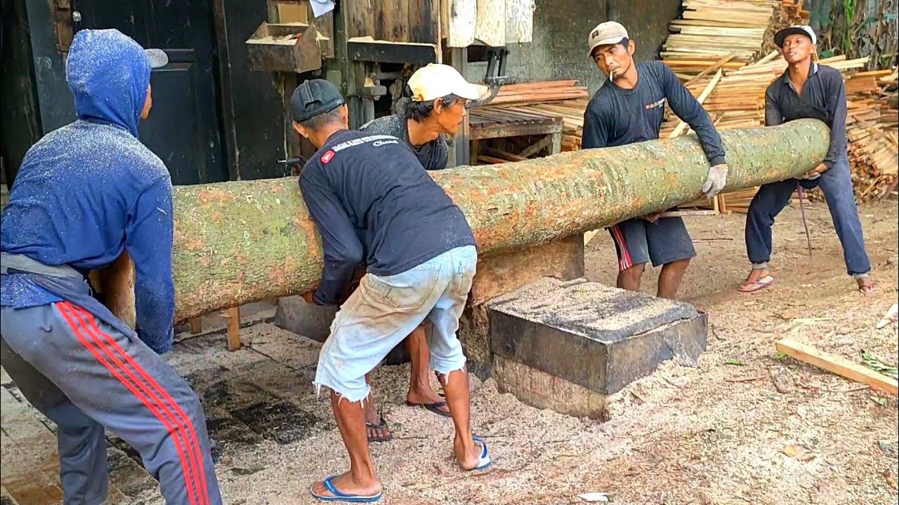 Luar Biasa!!! Kayu Bayur Sebesar itu berhasil Mereka Taklukkan dengan ...