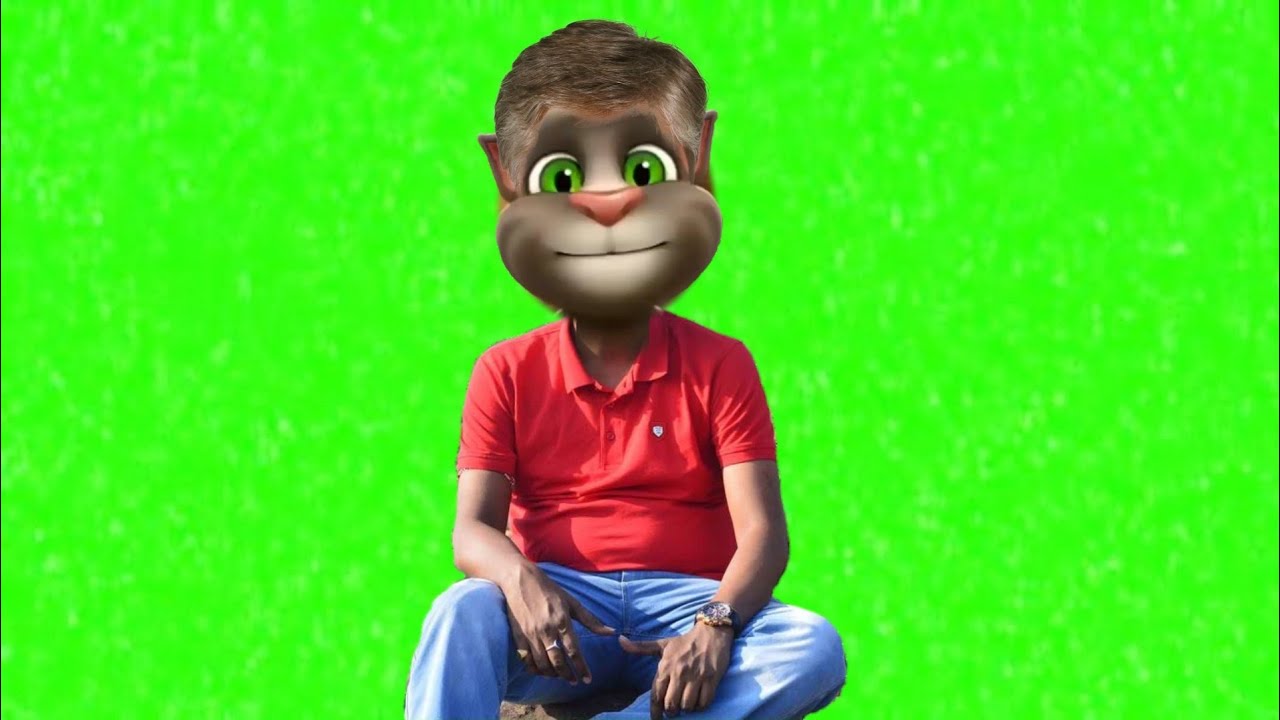 Talking tom sitting talk green screen video 🙊no copyright । free use ...
