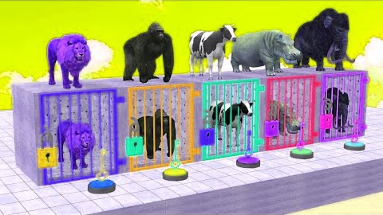 Cow Mammoth Elephant Gorilla Lion Hippo Guess The Right Key ESCAPE ROOM ...