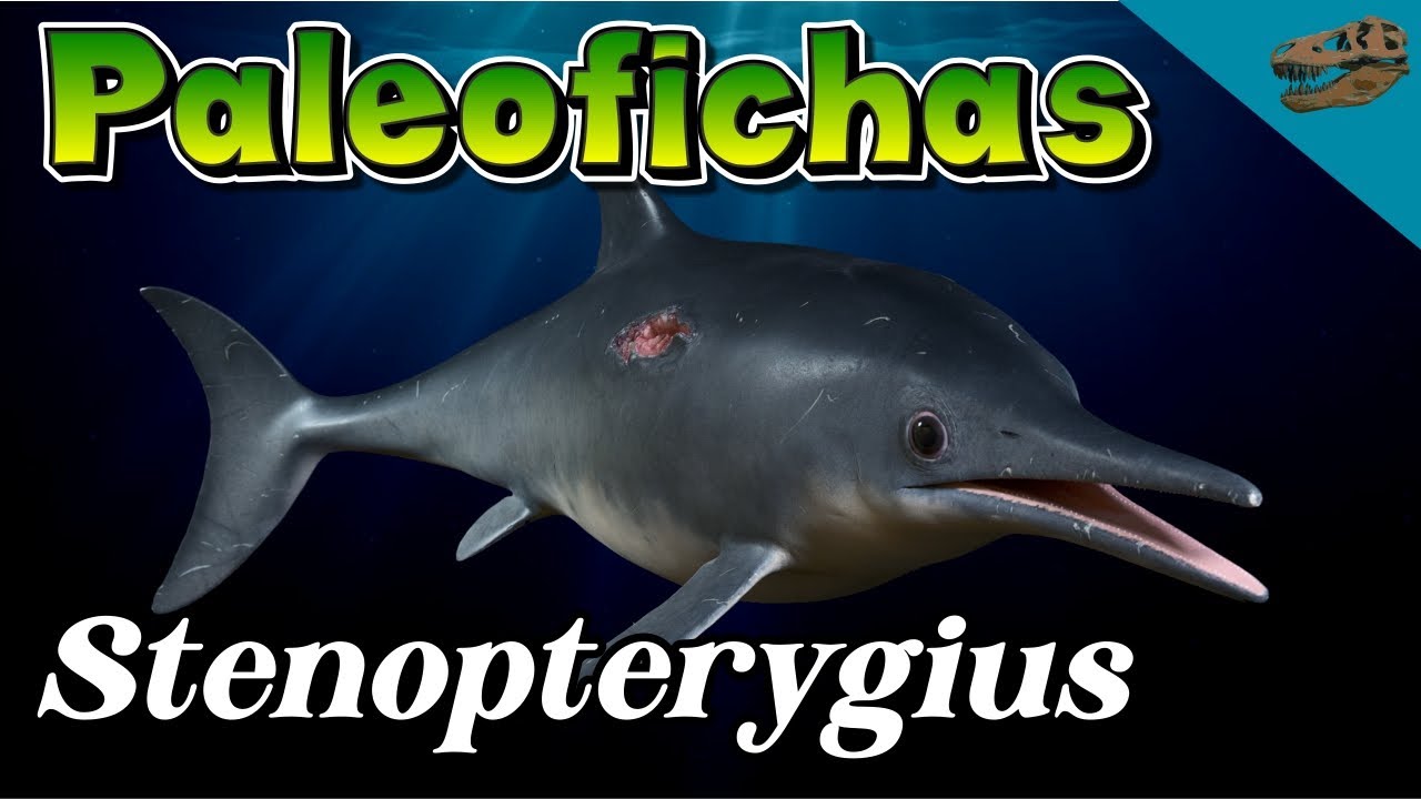 PALEOFICHAS: Stenopterygius (un ictiosaurio MUY importante) - YouTube
