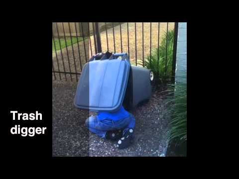 Trash Digger Ep.1 Se.1 - YouTube