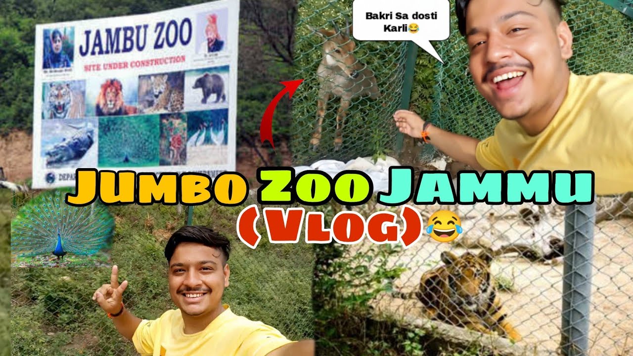 Jumbo Zoo In Jammu | North India Biggest Zoo | Tiger, leopard, Anaconda ...