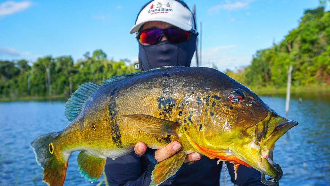 DIVERTINDO E PESCANDO EM BALBINA!!! [Em 4K!] #74 - YouTube