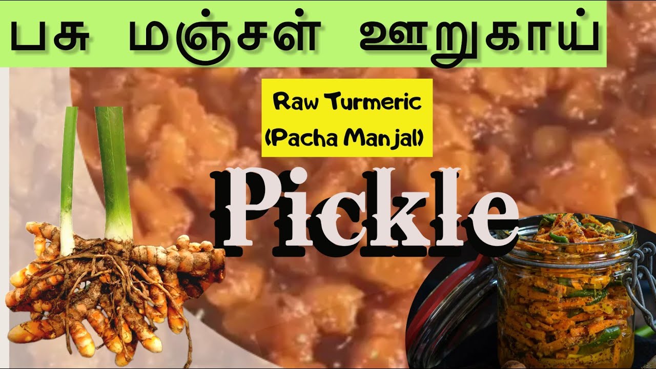 Fresh Turmeric Pickle | Manjal kizhangu oorukai | Pacha Manjal Pickle ...