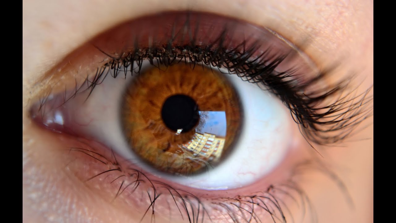 Do we see objects around us because of the light they create? - YouTube