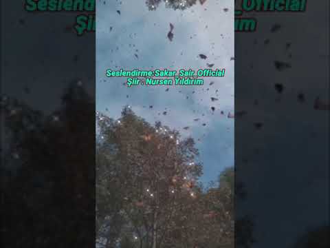 Harika Sözler , Mükemmel Şiir , Duygusal Fon Müziği, Aşk sözleri, Ayrılık acısı, Duygusal Fon müziği