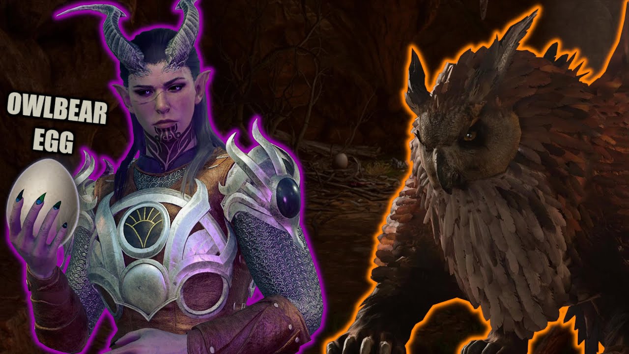 Stealing Mother Owlbears Egg | Baldurs Gate 3 - YouTube