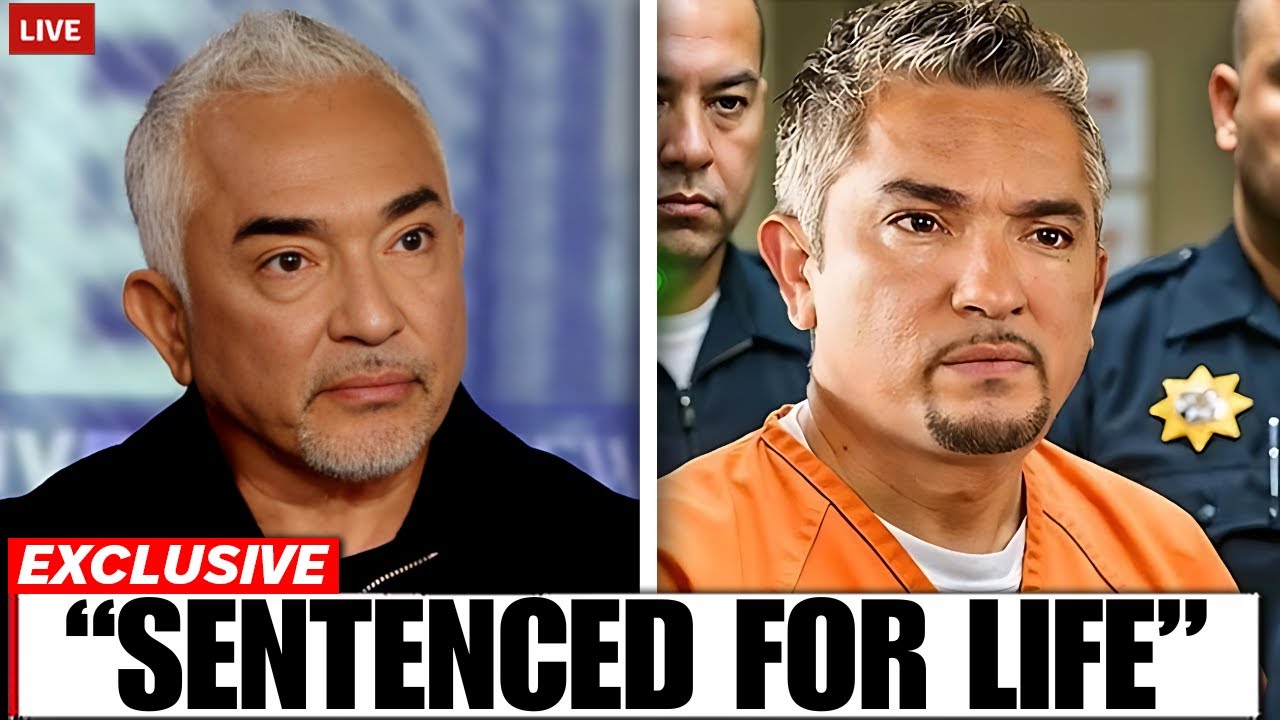 Cesar Millan BREAK DOWN After Being Sentenced for Life - YouTube