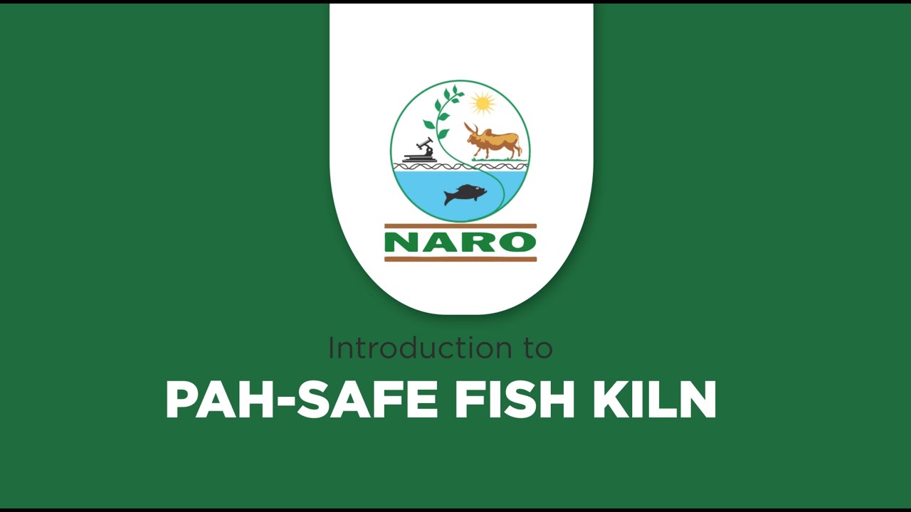 INTRODUCTION TO PAH SAFE FISH KILN - YouTube