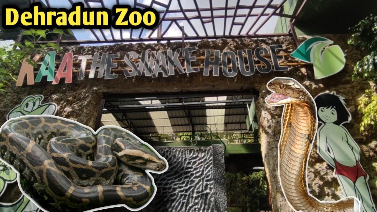 Kaathe Snake House || Dehradun zoo || Uttarakhand - YouTube