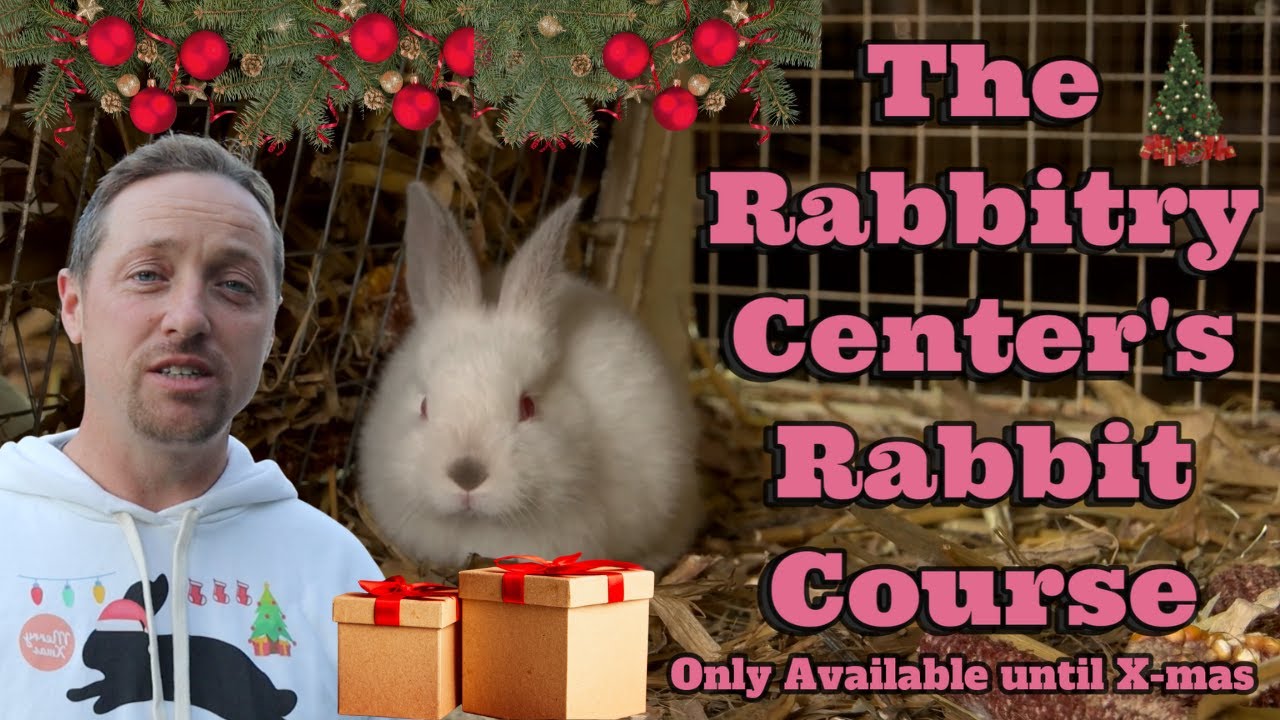 THE RABBITRY CENTER'S ONLINE COURSE - YouTube