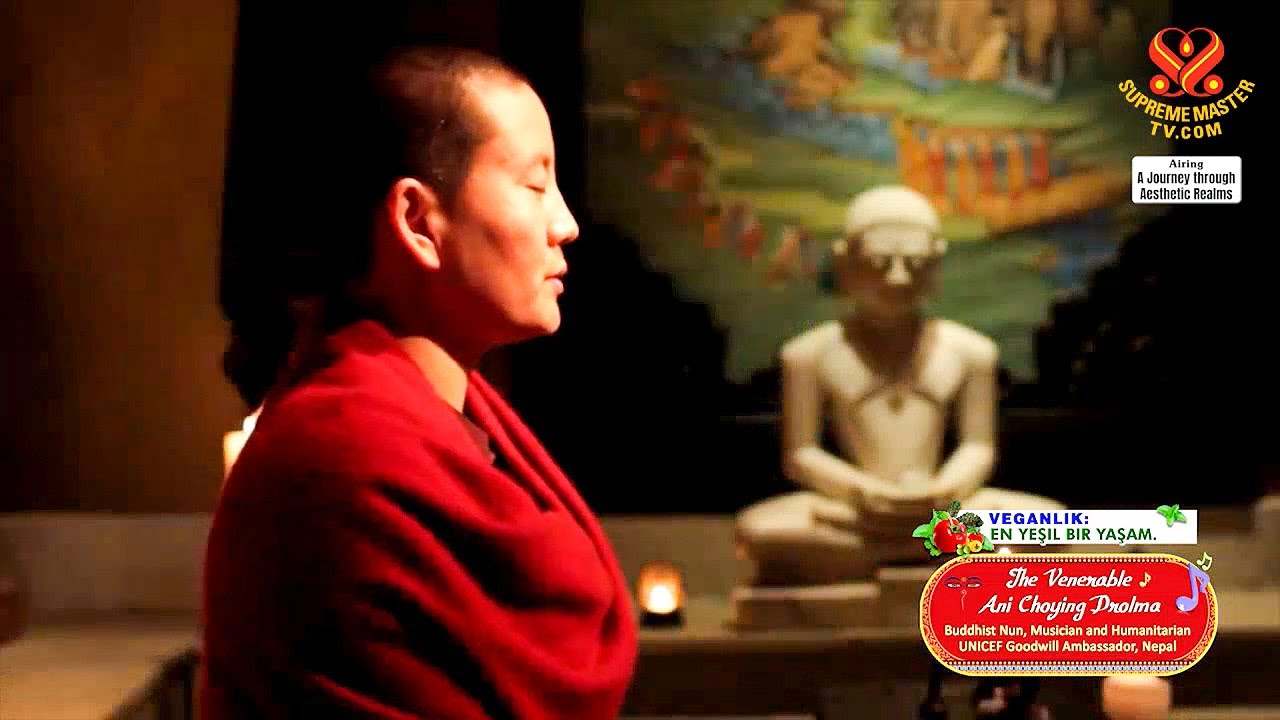 1260 AJAR The Venerable Ani Choying Drolma: Nepalese Singing Star Nun ...