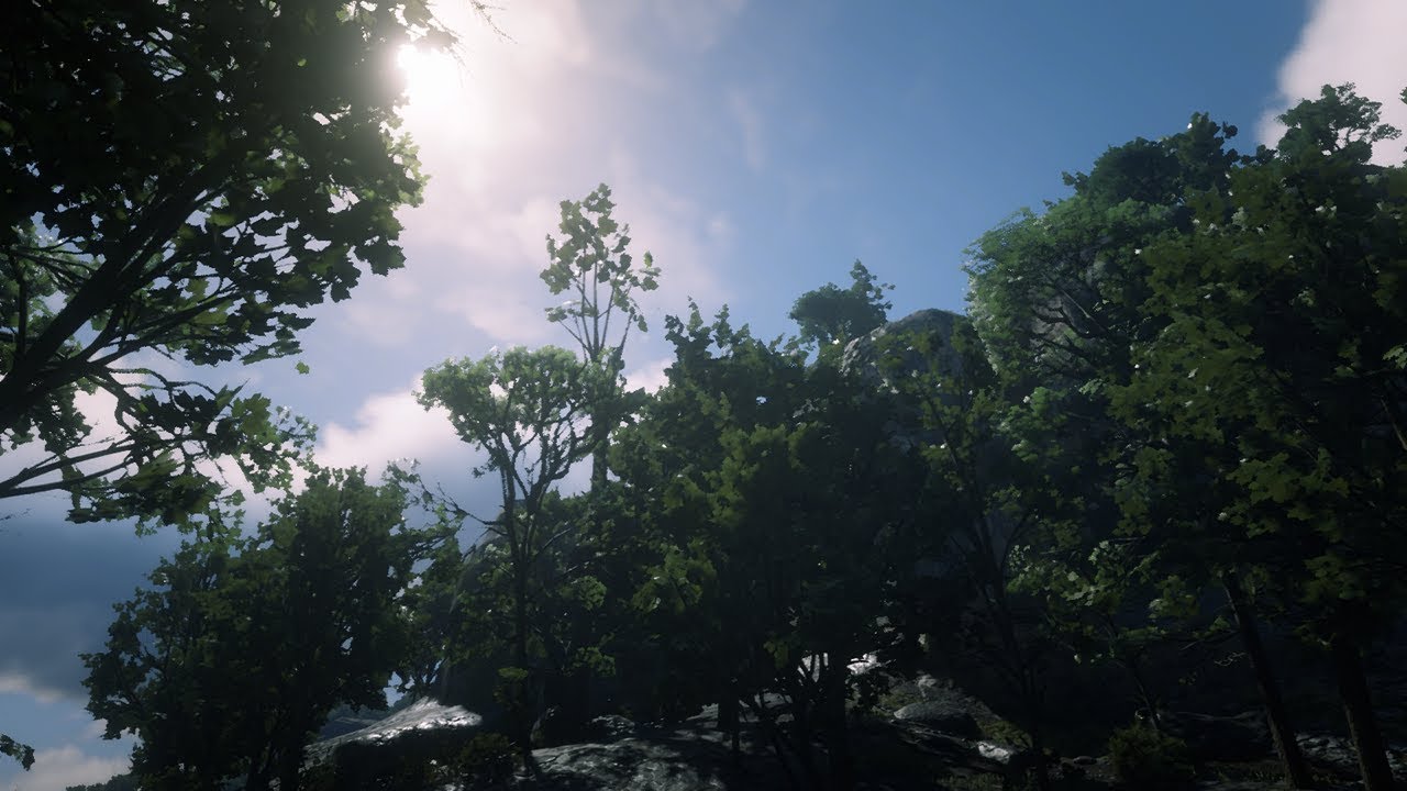 Willards Rest tour RDR2 - YouTube