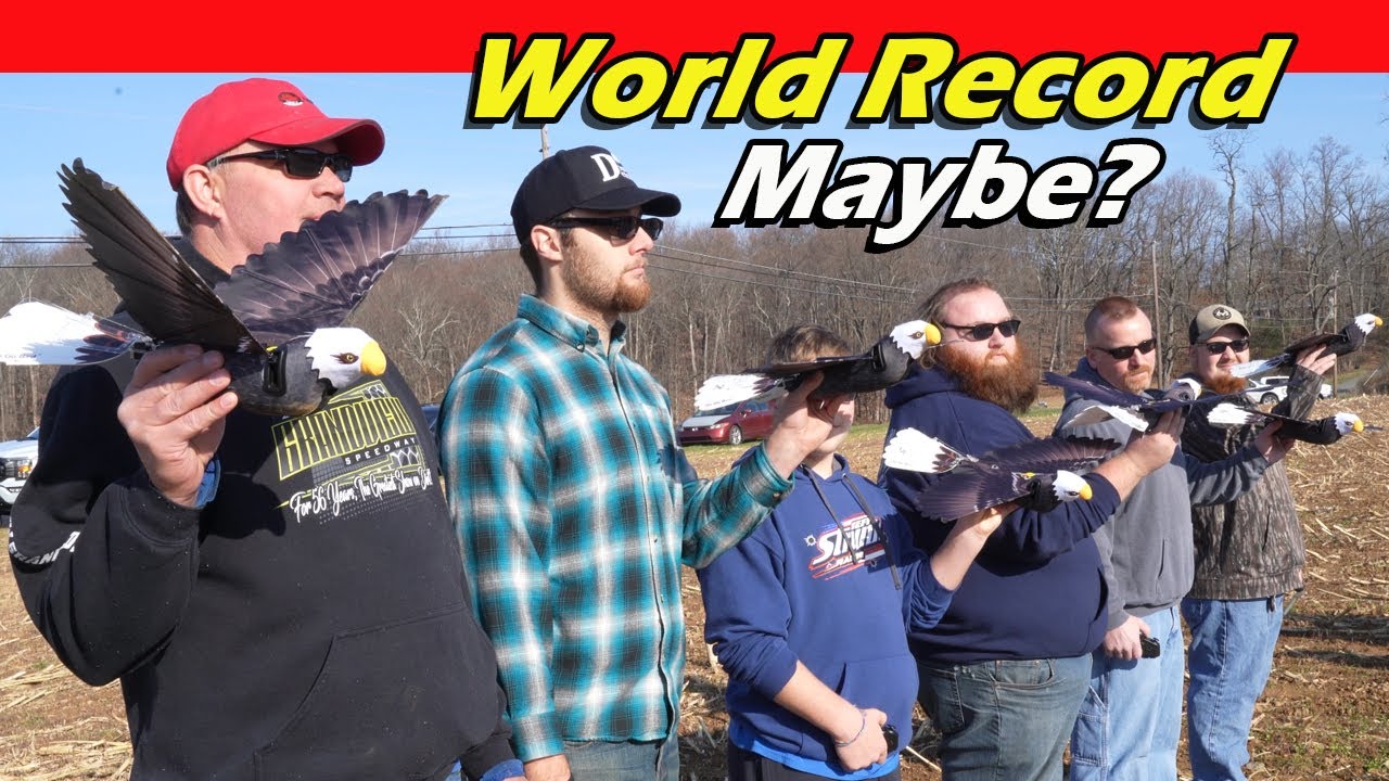Fake Birds | Is this a World Record? - YouTube