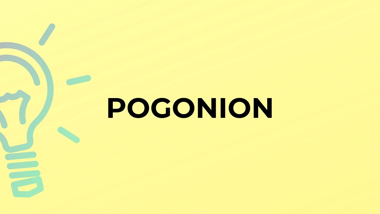 What is the meaning of the word POGONION? - YouTube