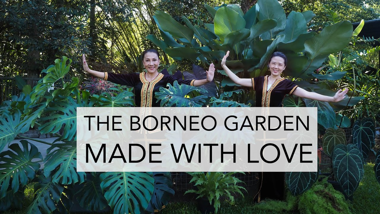 LOVING HUSBAND ️ built TROPICAL GARDEN🌴 for WIFE | 16 GARDENING (& how ...