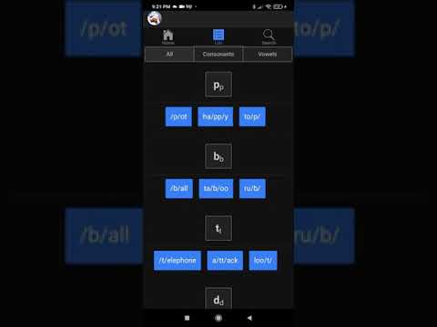 Sounds of Speech app demo