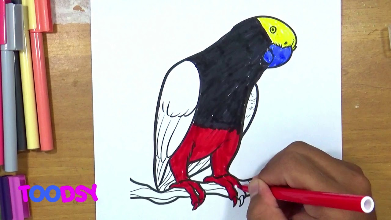 How to Color Parrot Looking For Food Coloring Page - YouTube
