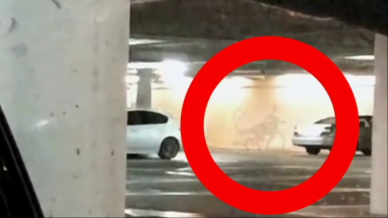 This alien haunted this parking so bad - YouTube