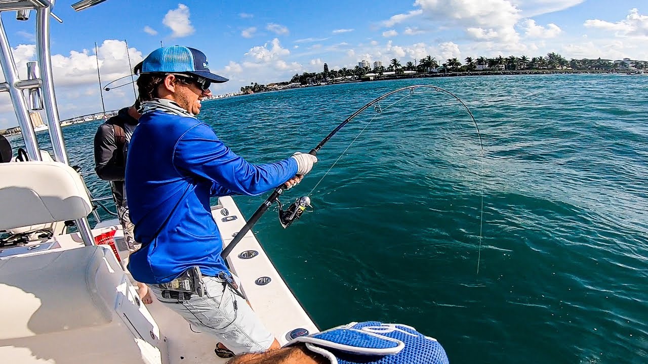 Live Mullet Fishing with BLACKTIPH. - YouTube