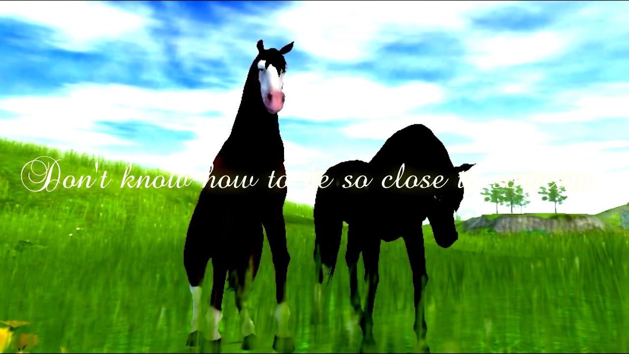 [SSO-ARABIANS] Dynasty - YouTube