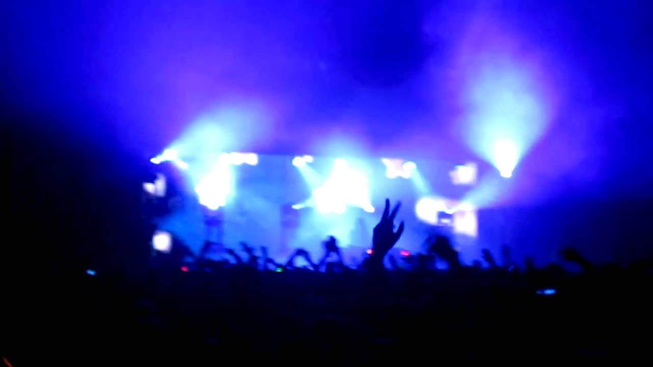 Bassnectar Bonnaroo 2010 - YouTube