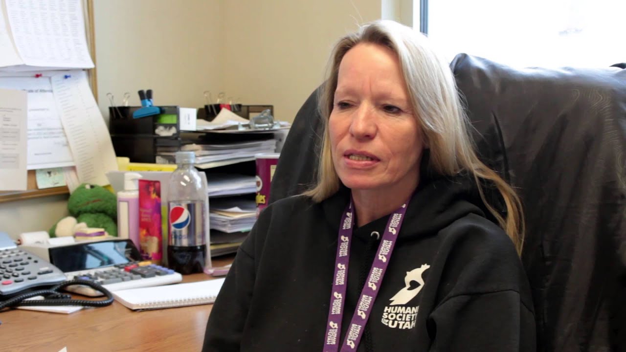 Susan Carpenter, HSU Shelter Manager Interview - YouTube