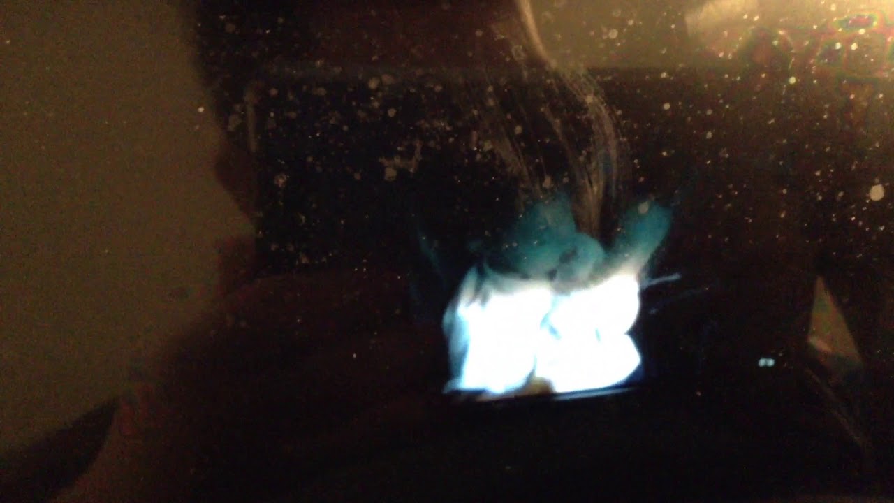 Barney Who's Who on the Choo Choo? - YouTube