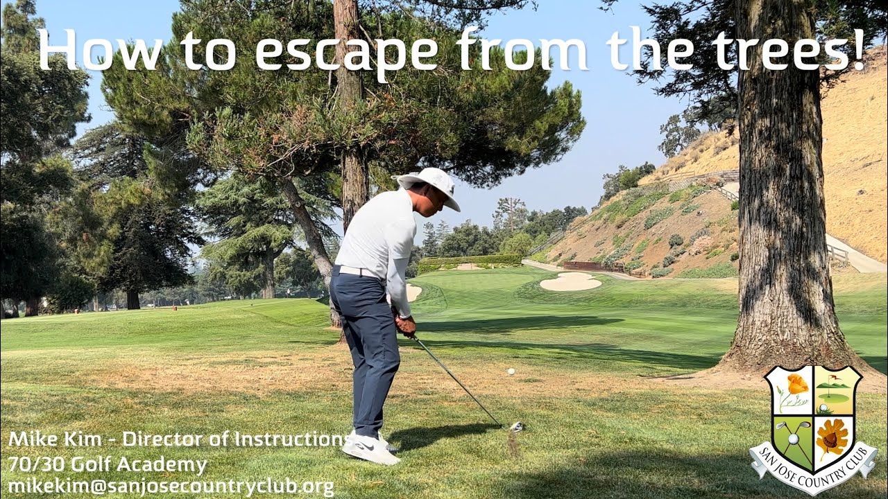 How to escape from the trees! - YouTube