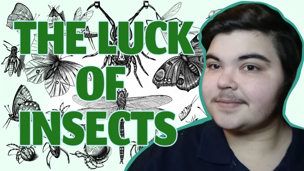 Five Lucky Bugs! | St Patrick's Day Special! - YouTube