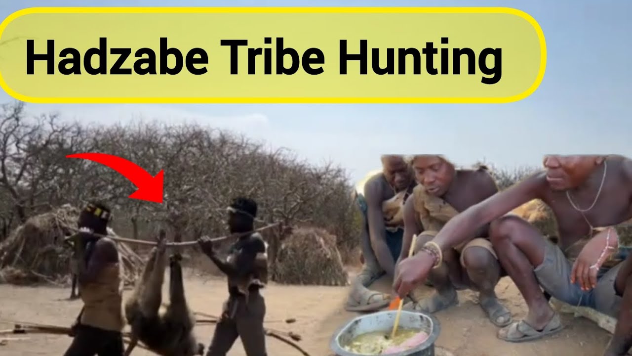 Unbelievable 🤫 Hadzabe Tribe Hunting Monkey & Cooking | Hadzabe Tribe - YouTube