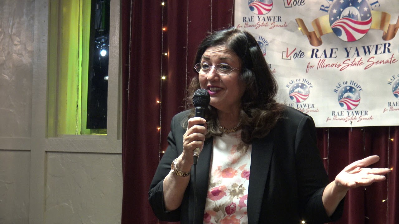 Rae Yawer for Illinois State Senator addressing at fundraising dinner ...