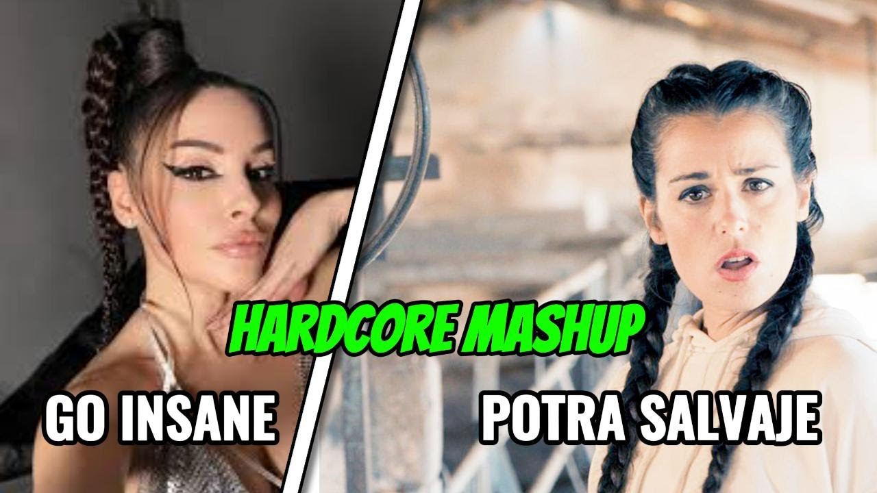 Potra salvaje & Go insane MIX [hardcore mashup] MEZCLOTE!!!! - YouTube