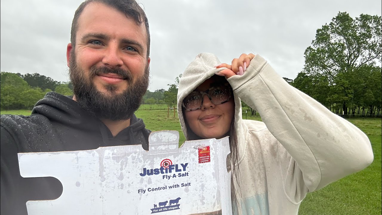 FLY BLOCK - What’s inside? - YouTube