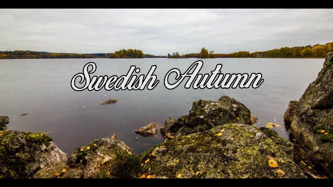 Swedish Autumn - A Timelapse Film in 4K - YouTube