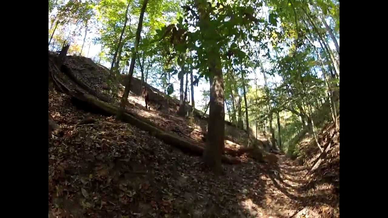 Rugged Hiking Trails at Torreya State Park - YouTube