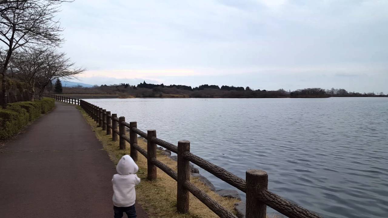 Emily 1 Youtube