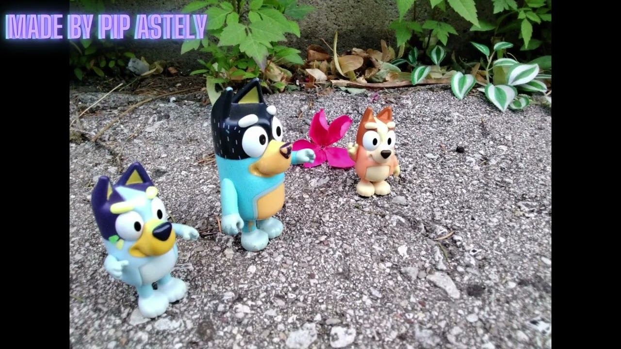 Bluey the weekend stop motion - YouTube