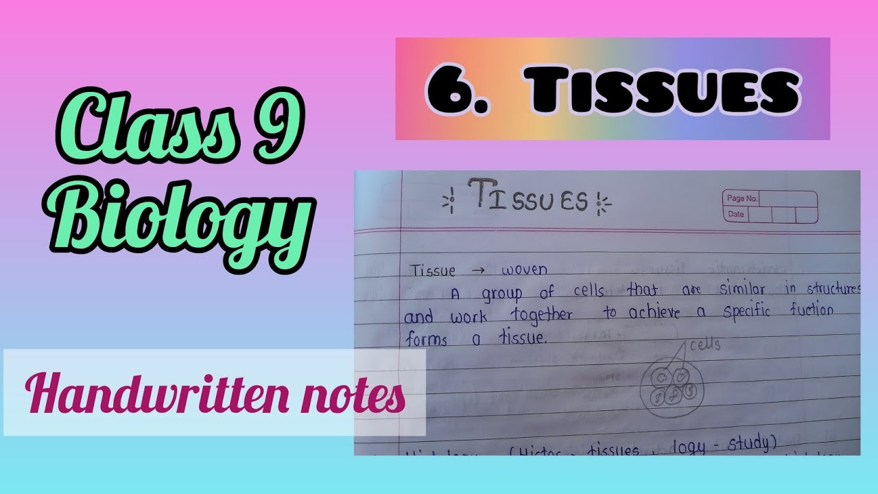 Class 9 Biology | Tissues Handwritten notes | Science chapter 6 | Learn ...