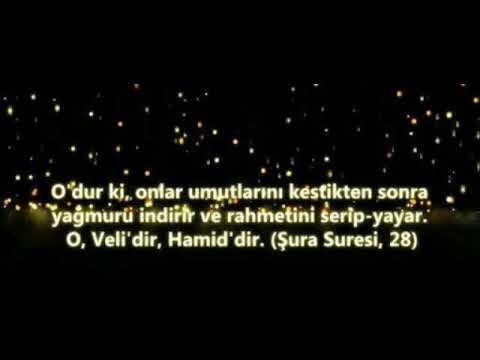 Yağmur damlasının Türkü Tanıya özel güzelliği