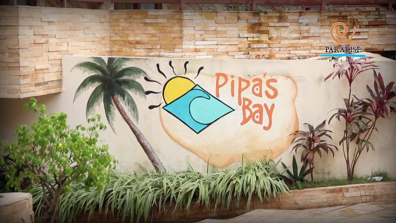 PIPAS BAY OFICIAL - YouTube
