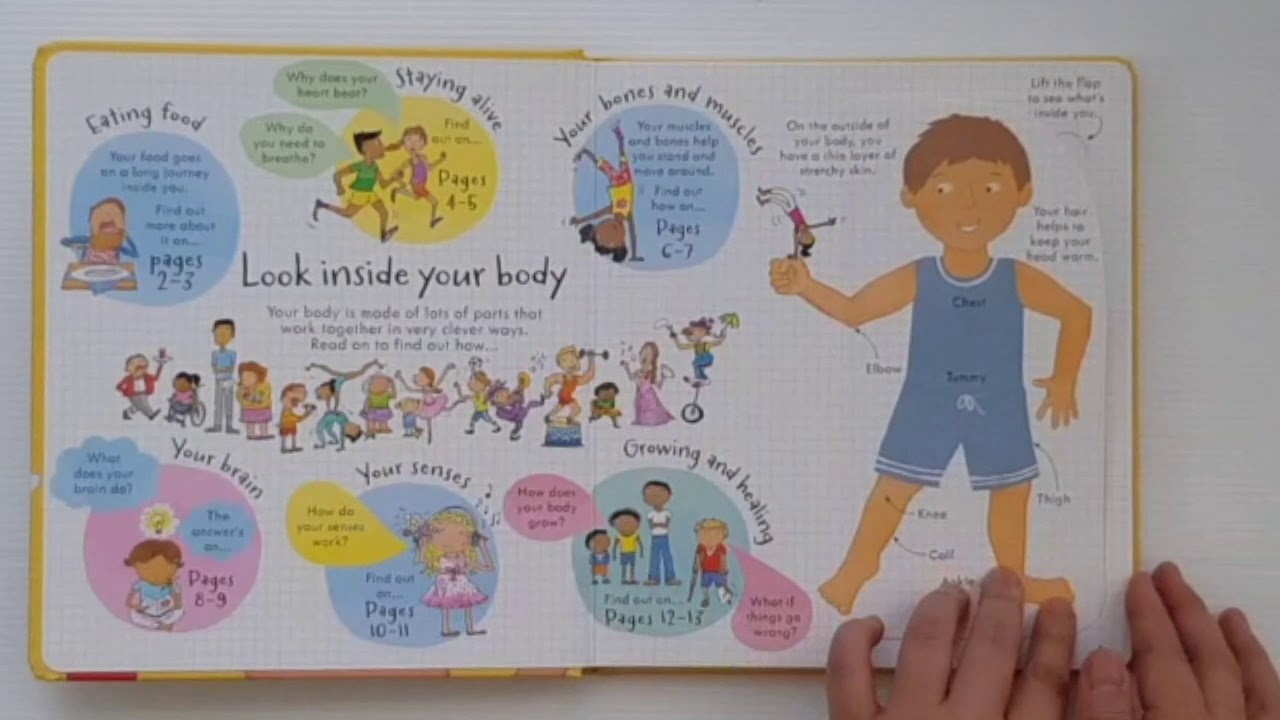 Look inside your body book - YouTube