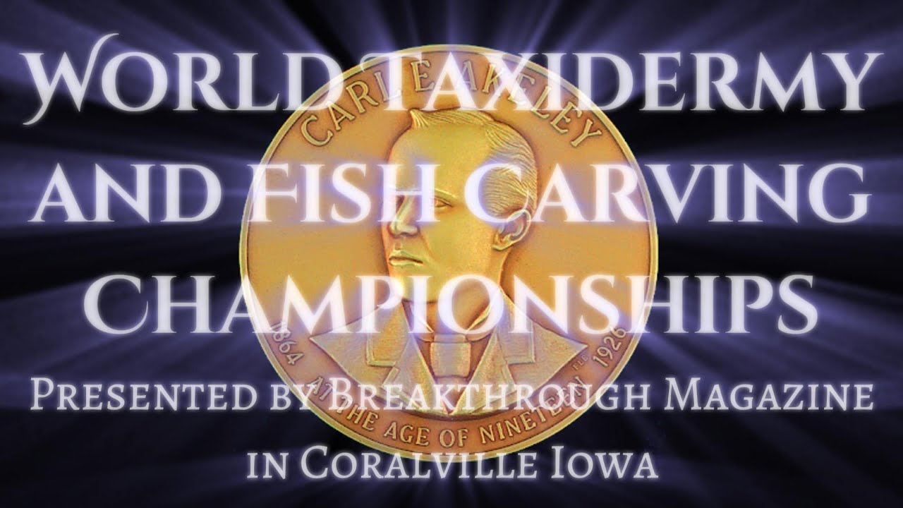 World Taxidermy and Fish Carving Championships 2024, Coralville Iowa ...
