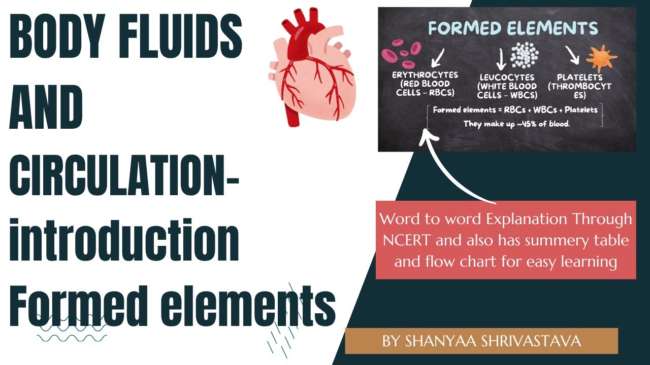 BODY FLUIDS AND CIRCULATION--Introduction and Formed Elements|| NCERT ...