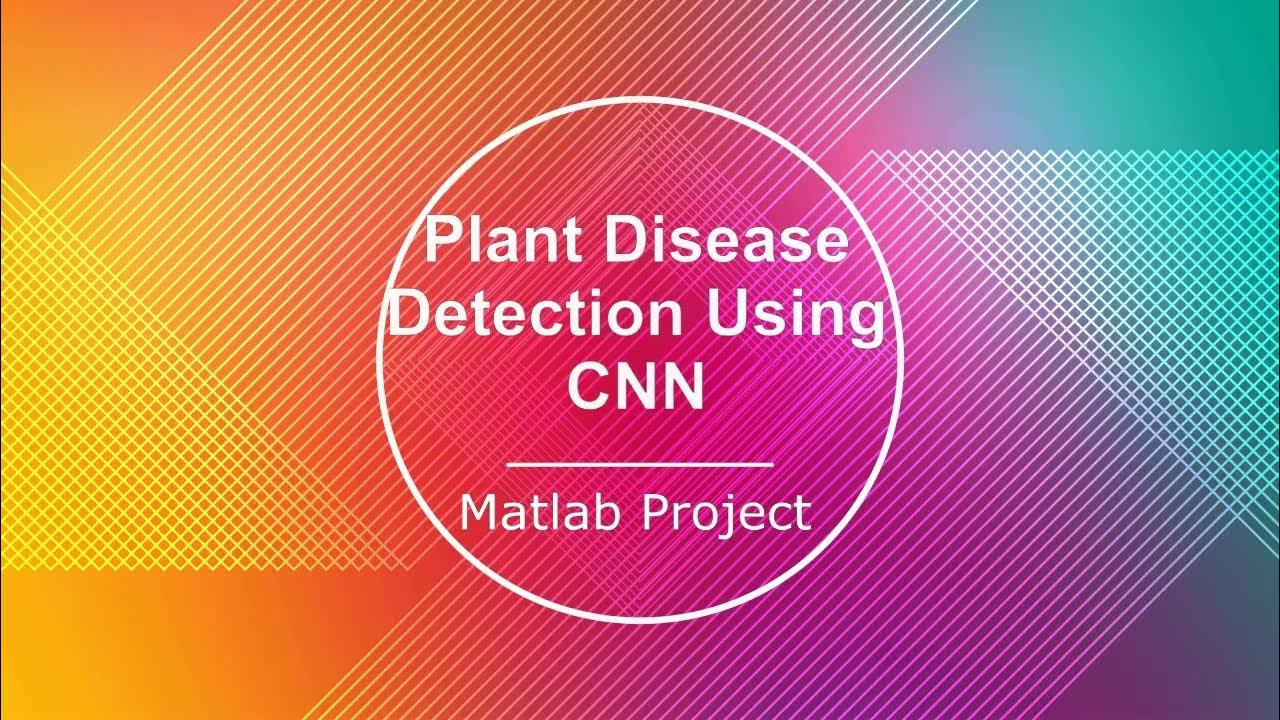 Plant Disease Identification Using Matlab Project With Source Code Leaf ...